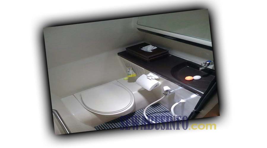 Sewa Bus Pariwisata Toilet Jakarta - Sewa Bus Dengan Fasilitas Toilet