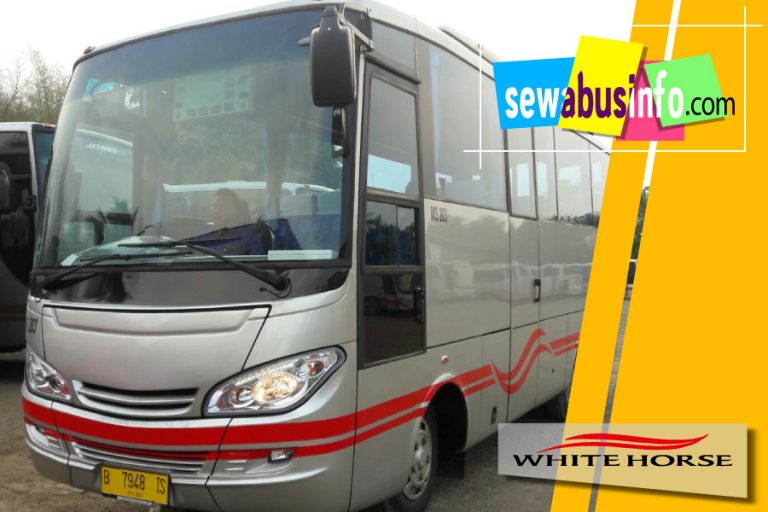 Harga Sewa Bus Pariwisata White Horse 2021 - Sewabusinfo.com